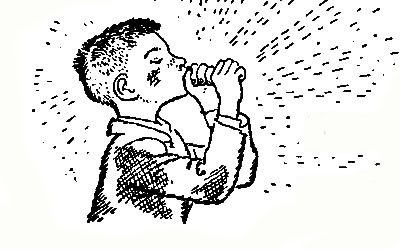 Шум и Шумок - Ильина - читать онлайн | Мишкины книжки